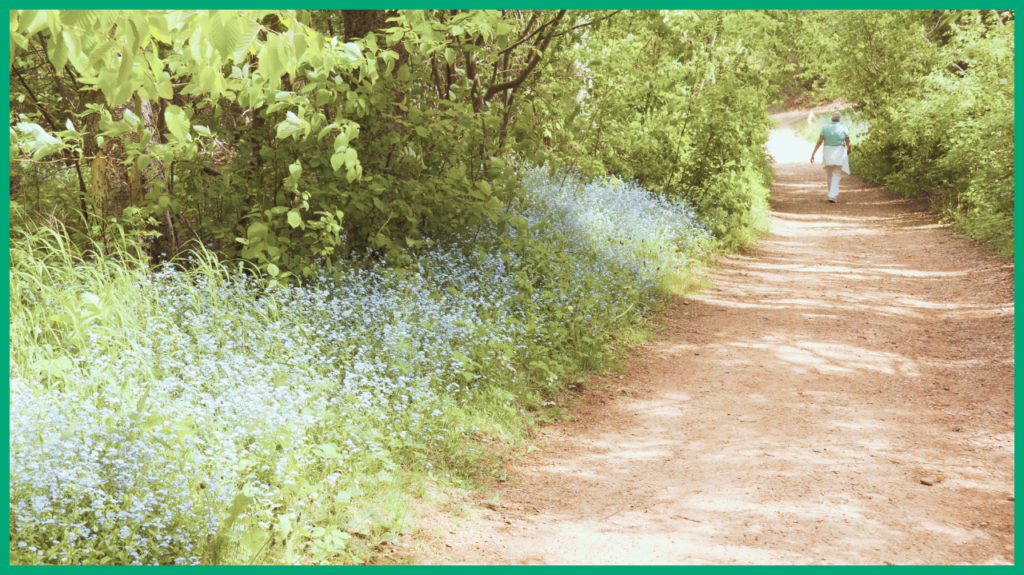 The Clear Path To Green Wins - Greenredeem
